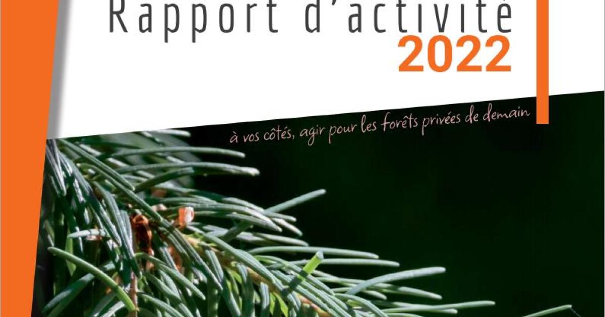 Rapport activité 2022_C1